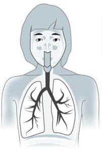 Inhalation Preparations | Pharmlabs